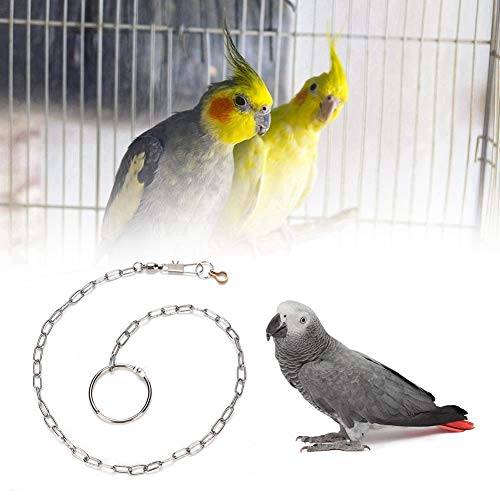 ViaGasaFamido Bird Leash, Stainless Steel Bird Foot Chain with Ring Parrot Ankle Foot Ring Anti-bite Outdoor Flying Training Rope(Grey Parrot)