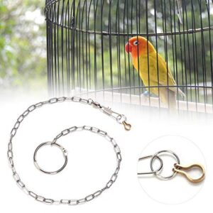 ViaGasaFamido Bird Leash, Stainless Steel Bird Foot Chain with Ring Parrot Ankle Foot Ring Anti-bite Outdoor Flying Training Rope(Grey Parrot)