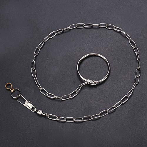 ViaGasaFamido Bird Leash, Stainless Steel Bird Foot Chain with Ring Parrot Ankle Foot Ring Anti-bite Outdoor Flying Training Rope(Grey Parrot)