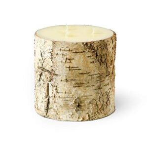 Serene Spaces Living Birch Bark Candle – Pillar Style Candle Brings Nature Indoors, Ideal for Weddings, Parties, Events, Restaurants, Home Decor, 6" in Diameter & 6" Tall