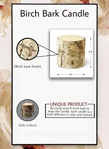 Serene Spaces Living Birch Bark Candle – Pillar Style Candle Brings Nature Indoors, Ideal for Weddings, Parties, Events, Restaurants, Home Decor, 6" in Diameter & 6" Tall