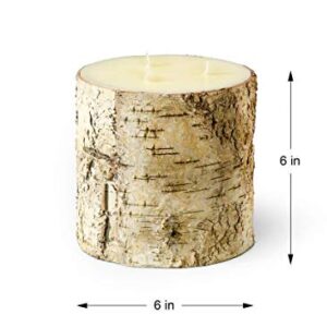 Serene Spaces Living Birch Bark Candle – Pillar Style Candle Brings Nature Indoors, Ideal for Weddings, Parties, Events, Restaurants, Home Decor, 6" in Diameter & 6" Tall