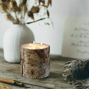 Serene Spaces Living Birch Bark Candle – Pillar Style Candle Brings Nature Indoors, Ideal for Weddings, Parties, Events, Restaurants, Home Decor, 6" in Diameter & 6" Tall