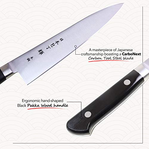 JCK ORIGINAL Kagayaki CarboNext Japanese Chef’s Knife, KC-6ES Professional Gyuto Knife, High Carbon Tool Steel Pro Kitchen Knife with Ergonomic Pakka Wood Handle, 9.4 inch