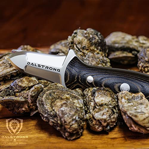 Dalstrong Oyster Shucking Knife - 3" Professional Clam and Shellfish Tool - Gladiator Series Elite - Forged German High-Carbon Steel - G10 Handle - Sheath Included - NSF Certified