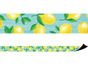 teacher created resources lemon zest magnetic border (tcr77455)