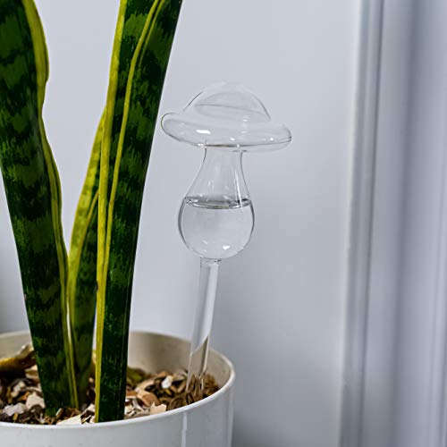 Kingbuy Self Watering Globes Plant Waterer Device Mushroom Shape Hand Blown Clear Glass Bulb for Indoor Outdoor Plants, 4 Pack