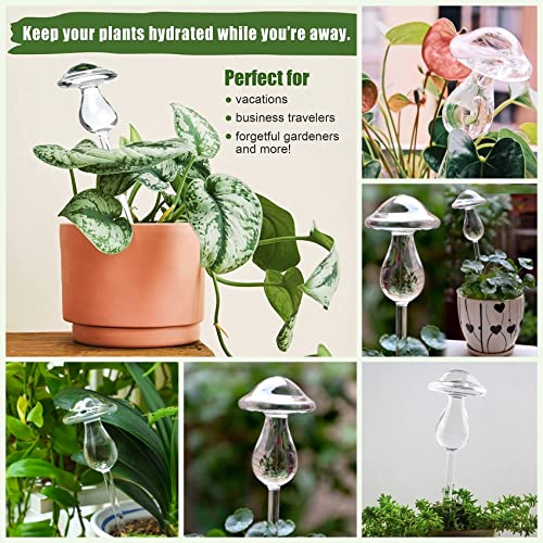 Kingbuy Self Watering Globes Plant Waterer Device Mushroom Shape Hand Blown Clear Glass Bulb for Indoor Outdoor Plants, 4 Pack