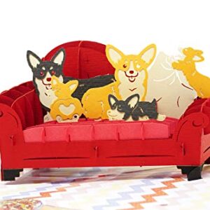 Happy Corgi Family - 3D Pop Up Greeting Card For All Occasions - Love, Birthday, Christmas, Good luck, Father's Day, Mother's Day - Message Note for Personalized - Thick Envelope, Fold Flat