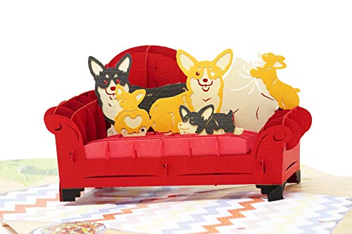 Happy Corgi Family - 3D Pop Up Greeting Card For All Occasions - Love, Birthday, Christmas, Good luck, Father's Day, Mother's Day - Message Note for Personalized - Thick Envelope, Fold Flat