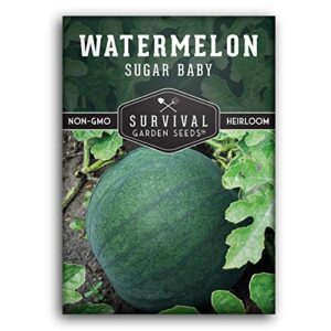 survival garden seeds - sugar baby watermelon seed for planting - packet with instructions to plant and grow little round watermelons in your home vegetable garden - non-gmo heirloom variety