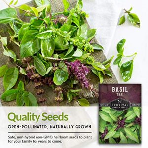 Survival Garden Seeds - Thai Basil Seed for Planting - Packet with Instructions to Plant and Grow Asian Basil Indoors or Outdoors in Your Home Vegetable Garden - Non-GMO Heirloom Variety - 1 Pack