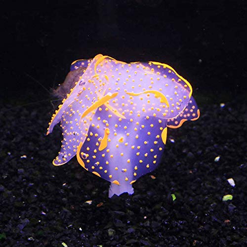 Cayway 6 Pack Aquarium Fish Tank Ornament Glowing Simulation Coral Plant Ornaments Glowing Silicone Aquarium Ornaments Mushroom Lotus for Fish Tank, Aquarium Landscape