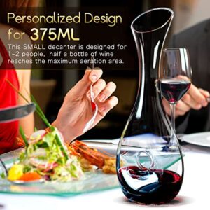 NUTRIUPS Wine Decanter with Stopper Wine Decanters and Carafes Hand Blown Wine Aerating Decanter Wine Carafe Decanter Pierced Decorative Snail Red Wine Decanters with Lid