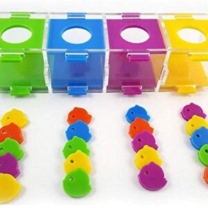 Litewoo Parrot Intelligence Training Toy Color Separation Coin Box Education Interactive Playing Puzzle Toy for Birds Parakeet Cockatiel Amazon Budgie Cockatoo Finch Conures Macaw