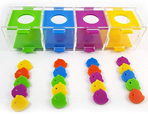 Litewoo Parrot Intelligence Training Toy Color Separation Coin Box Education Interactive Playing Puzzle Toy for Birds Parakeet Cockatiel Amazon Budgie Cockatoo Finch Conures Macaw