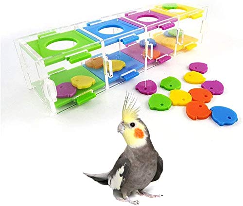 Litewoo Parrot Intelligence Training Toy Color Separation Coin Box Education Interactive Playing Puzzle Toy for Birds Parakeet Cockatiel Amazon Budgie Cockatoo Finch Conures Macaw