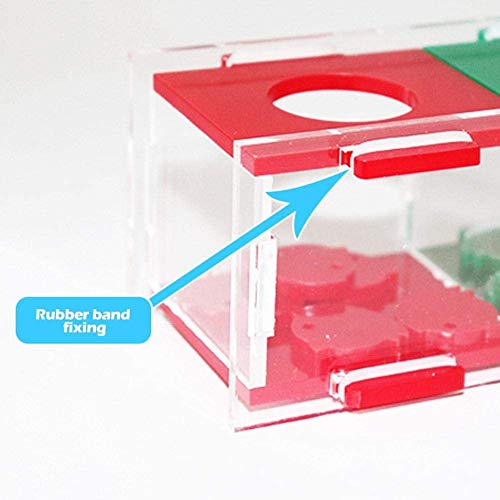 Litewoo Parrot Intelligence Training Toy Color Separation Coin Box Education Interactive Playing Puzzle Toy for Birds Parakeet Cockatiel Amazon Budgie Cockatoo Finch Conures Macaw