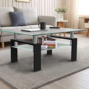 IANIYA Coffee Table with Metal Tube Legs, Glass and Rectangle End Table for Livingroom (Black)