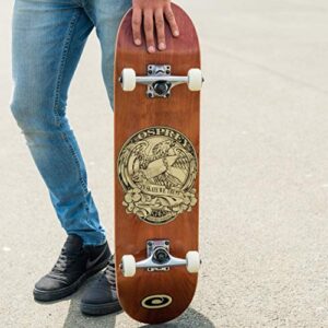 Osprey Skateboards for Beginners | 31 x 8 Inch Adult Skateboard with 7 Layer Canadian Maple Deck, Double Kick Concave Skateboard for Riding and Tricks, Multiple Designs