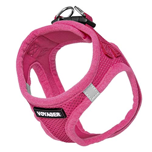 Voyager Step-in Air Dog Harness - All Weather Mesh Step in Vest Harness for Small and Medium Dogs by Best Pet Supplies - Harness (Fuchsia), Small