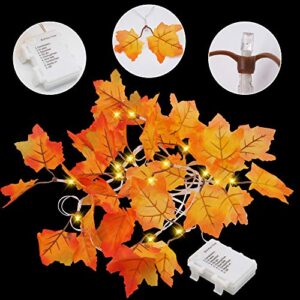 Joiedomi 2 Pack 14.7FT Thanksgiving Lights Fall Maple Leaves String Lights with 20 LED Warm White Lights for Autumn Garland, HomeThanksgiving Indoor Outdoor Decor