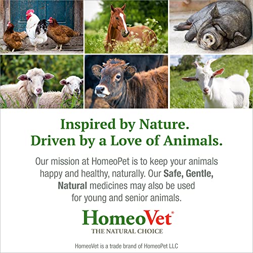 HomeoPet Avian Nose Relief, Sinus Support for Chickens and Pet Birds, 15 Milliliters