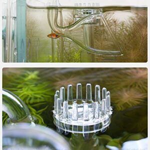 Hamiledyi Aquarium Glass Lily Pipe Set Lily Surface Skimmer Inflow and Lily Outflow for Aquarium Filter Tubing Freshwater Fish Planted Aquarium Tank