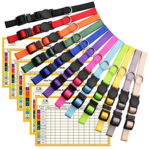 Puppy Collars for Litter Puppy ID Collars Whelping Supplies Soft Nylon Breakaway Coloured Collars with 6 Record Keeping Charts(S)