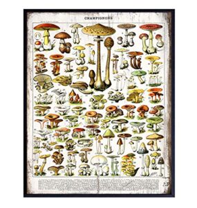 dining room, kitchen decor - rustic vintage botanical mushrooms chart - larousse gastronomique sign photo wall art for cafe, restaurant - unique housewarming gift -8x10 boho farmhouse style