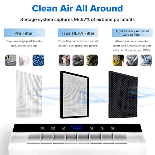 LEVOIT Smart Wifi Air Purifier for Home, Extra-Large Room with H13 True HEPA Filter & Air Purifier LV-PUR131 Replacement Filter True HEPA & Activated Carbon Filters Set, LV-PUR131-RF (2 Pack)