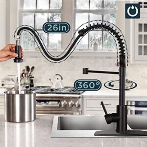 FORIOUS Black Kitchen Faucet with Pull Down Sprayer, Commercial Spring Kitchen Sink Faucet with Pull Out Sprayer, Single Handle Kitchen faucets with Deck Plate, Matte Black