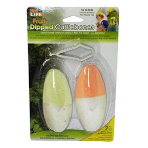 bird life fruit-dipped cuttlebones