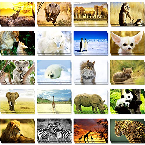 Outus 60 Pieces Wild Animal Postcards Animal Themed Blank Postcards Pandas Lions Polar Bears Penguins Elephants Giraffes Animal Greeting Postcards for Kids Teachers, 4 x 6Inches, 20 Styles