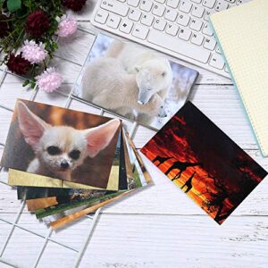 Outus 60 Pieces Wild Animal Postcards Animal Themed Blank Postcards Pandas Lions Polar Bears Penguins Elephants Giraffes Animal Greeting Postcards for Kids Teachers, 4 x 6Inches, 20 Styles