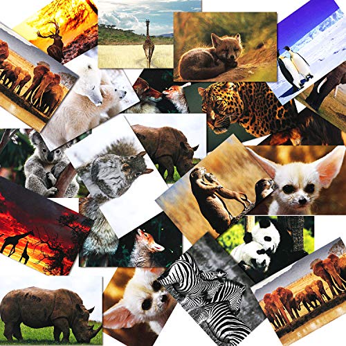 Outus 60 Pieces Wild Animal Postcards Animal Themed Blank Postcards Pandas Lions Polar Bears Penguins Elephants Giraffes Animal Greeting Postcards for Kids Teachers, 4 x 6Inches, 20 Styles