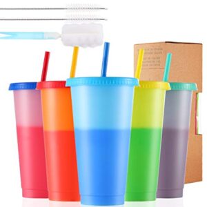 Color Changing Cups, 24oz 5 Reusable Cold Drink Cups with Lids and Straws Summer Coffee Tumblers Party Cup for Adults