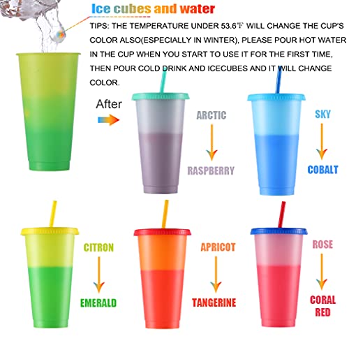 Color Changing Cups, 24oz 5 Reusable Cold Drink Cups with Lids and Straws Summer Coffee Tumblers Party Cup for Adults