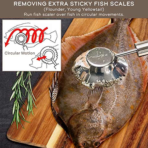 Ginrin Fish Scaler Brush, Fish Scale Remover Made in Japan with stainless Steel Circle Sawtooth