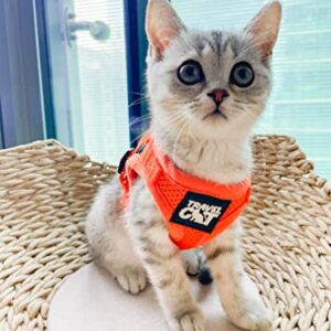 Travel Cat Harness and Leash Set - Adjustable Comfort Fit Mesh Vest Harnesses with Reflective Strap - Snug Fit Harness for Cats, Kitten for Outdoor Walking, Orange, Small (Chest 13-15.5 inch)