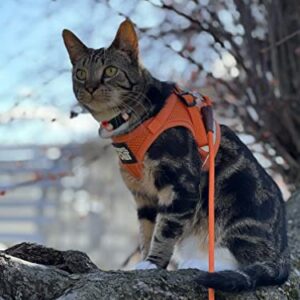 Travel Cat Harness and Leash Set - Adjustable Comfort Fit Mesh Vest Harnesses with Reflective Strap - Snug Fit Harness for Cats, Kitten for Outdoor Walking, Orange, Small (Chest 13-15.5 inch)