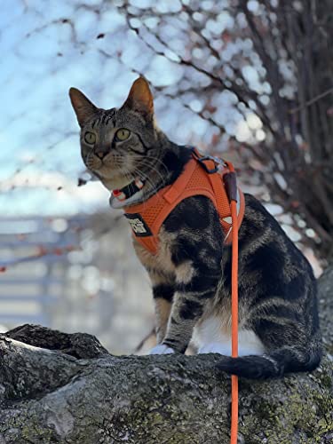 Travel Cat Harness and Leash Set - Adjustable Comfort Fit Mesh Vest Harnesses with Reflective Strap - Snug Fit Harness for Cats, Kitten for Outdoor Walking, Orange, Small (Chest 13-15.5 inch)