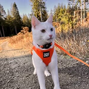 Travel Cat Harness and Leash Set - Adjustable Comfort Fit Mesh Vest Harnesses with Reflective Strap - Snug Fit Harness for Cats, Kitten for Outdoor Walking, Orange, Small (Chest 13-15.5 inch)