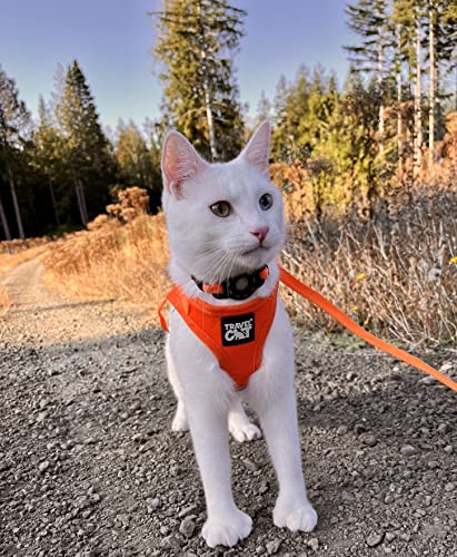 Travel Cat Harness and Leash Set - Adjustable Comfort Fit Mesh Vest Harnesses with Reflective Strap - Snug Fit Harness for Cats, Kitten for Outdoor Walking, Orange, Small (Chest 13-15.5 inch)