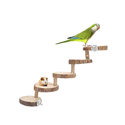 5 Layers Wooden Hamster Ladder Parrot Toy Climbing Stairs Pet Toys Perches Cage