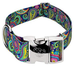 country brook petz - 1 1/2 inch premium bright paisley dog collar, large