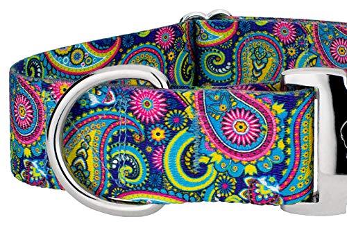 Country Brook Petz - 1 1/2 Inch Premium Bright Paisley Dog Collar, Large