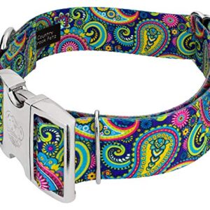 Country Brook Petz - 1 1/2 Inch Premium Bright Paisley Dog Collar, Large