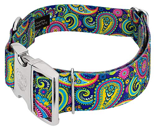 Country Brook Petz - 1 1/2 Inch Premium Bright Paisley Dog Collar, Large