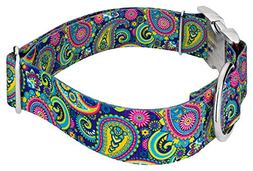 Country Brook Petz - 1 1/2 Inch Premium Bright Paisley Dog Collar, Large